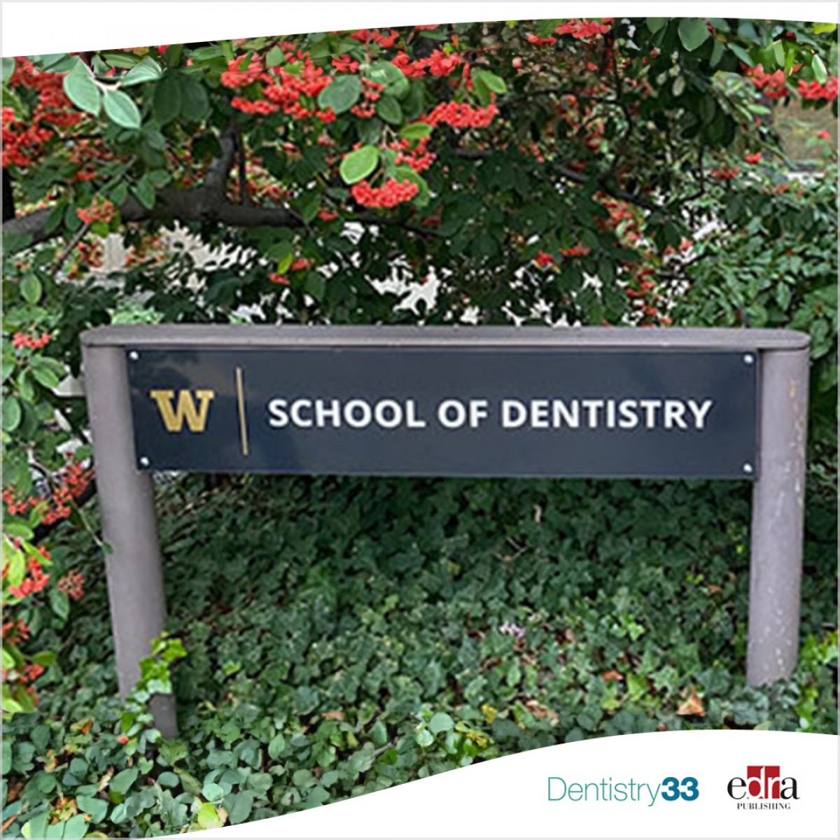 UW School of Dentistry ranked No. 12 in latest global survey | Dentistry33